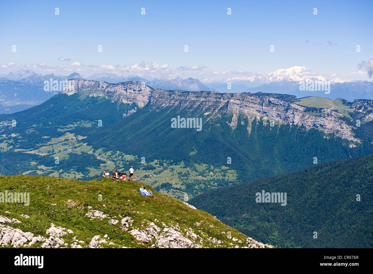 La chartreuse hi-res stock photography and images - Alamy