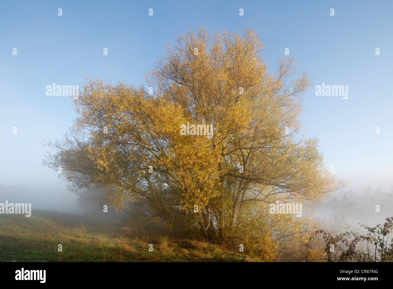 Main_river hi-res stock photography and images - Alamy