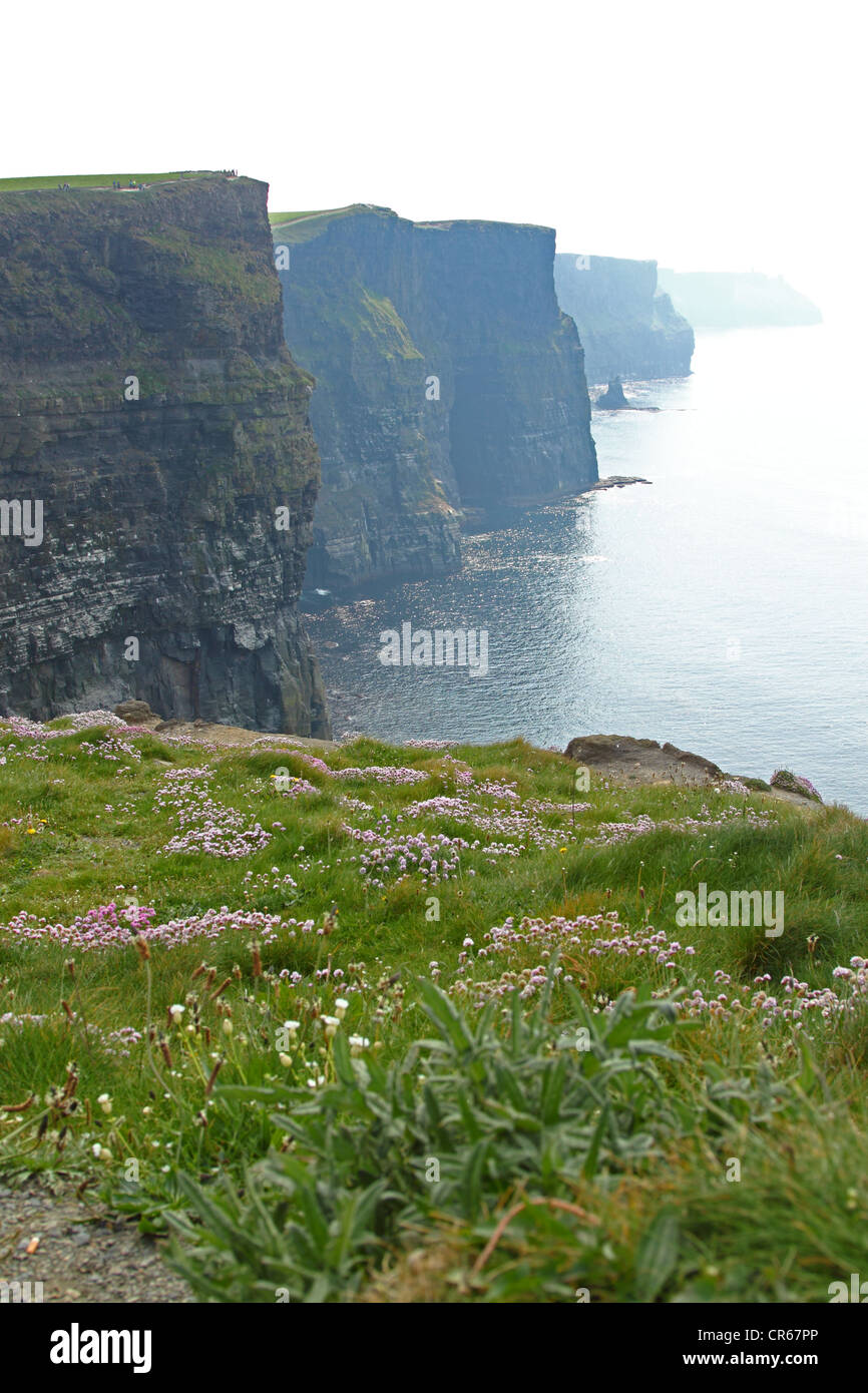 Fog ireland hi-res stock photography and images - Alamy