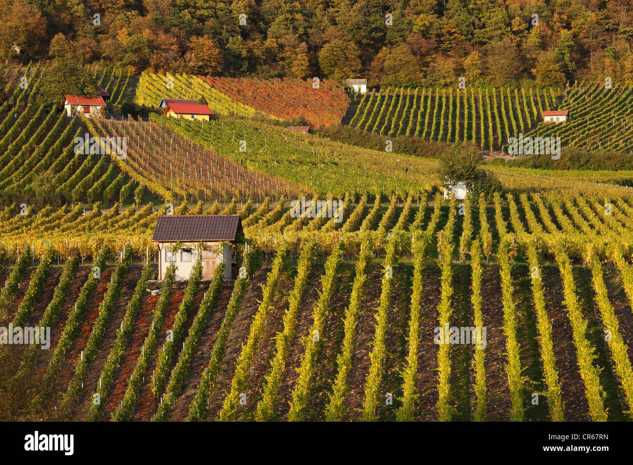 Donnersberg borough hi-res stock photography and images - Alamy