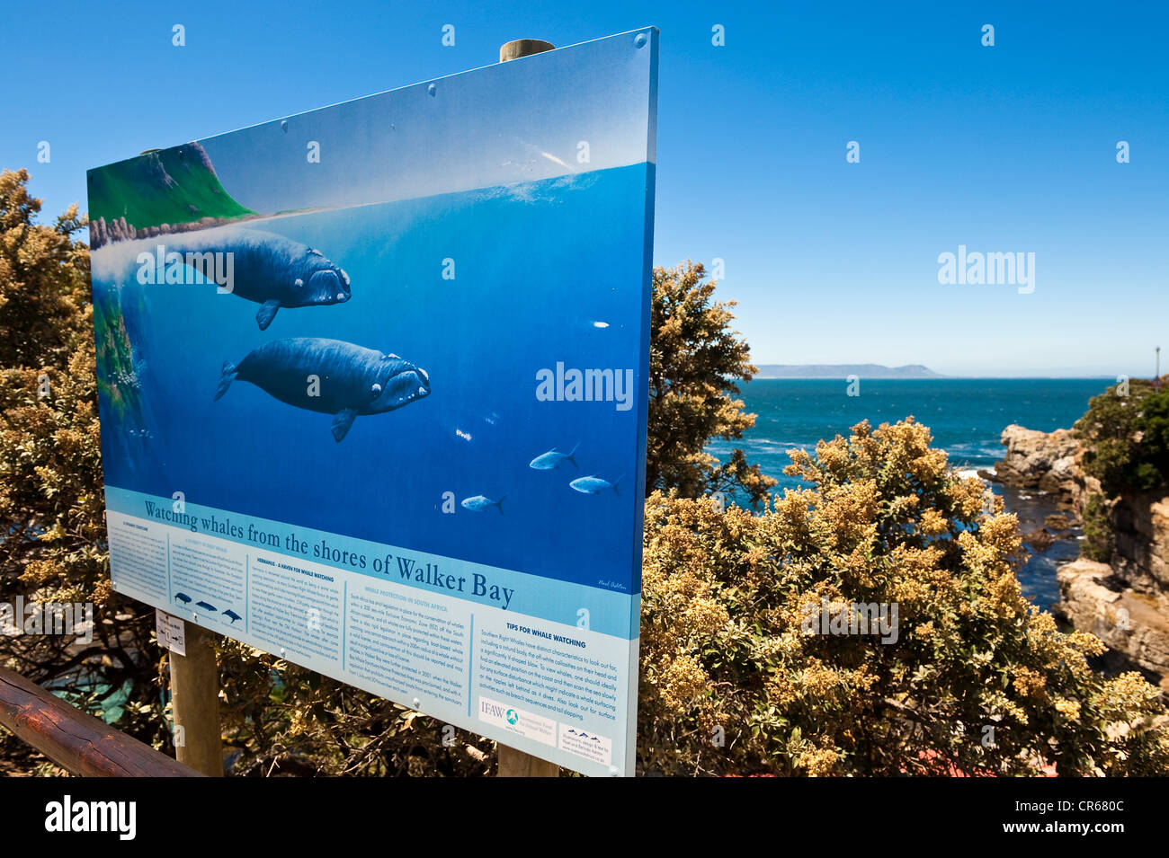 Whale sign hermanus south africa hi-res stock photography and images ...
