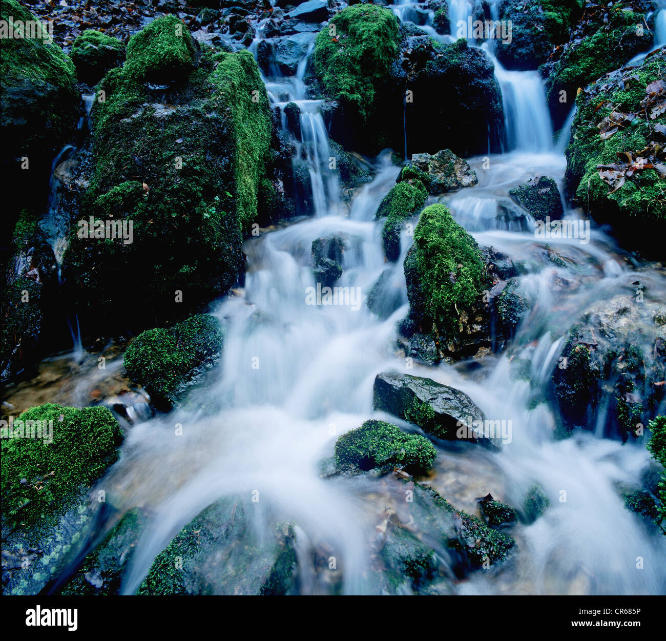 Roaring forest stream with mossy rocks, water, melt water, Glasbach ...