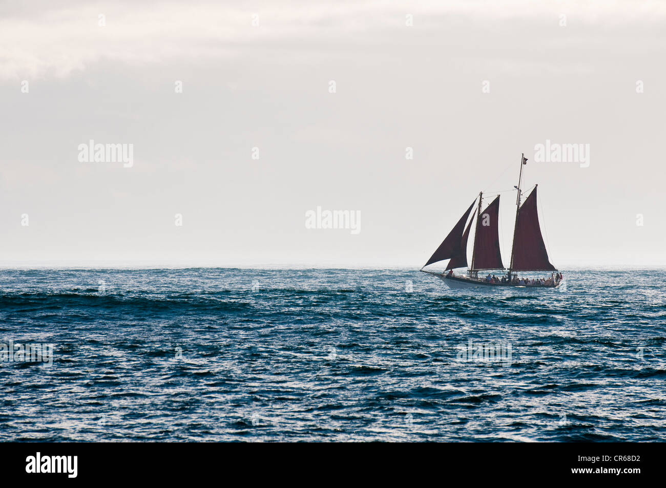 South Africa, Western Cape, sailing boat off Cape Town Stock Photo - Alamy