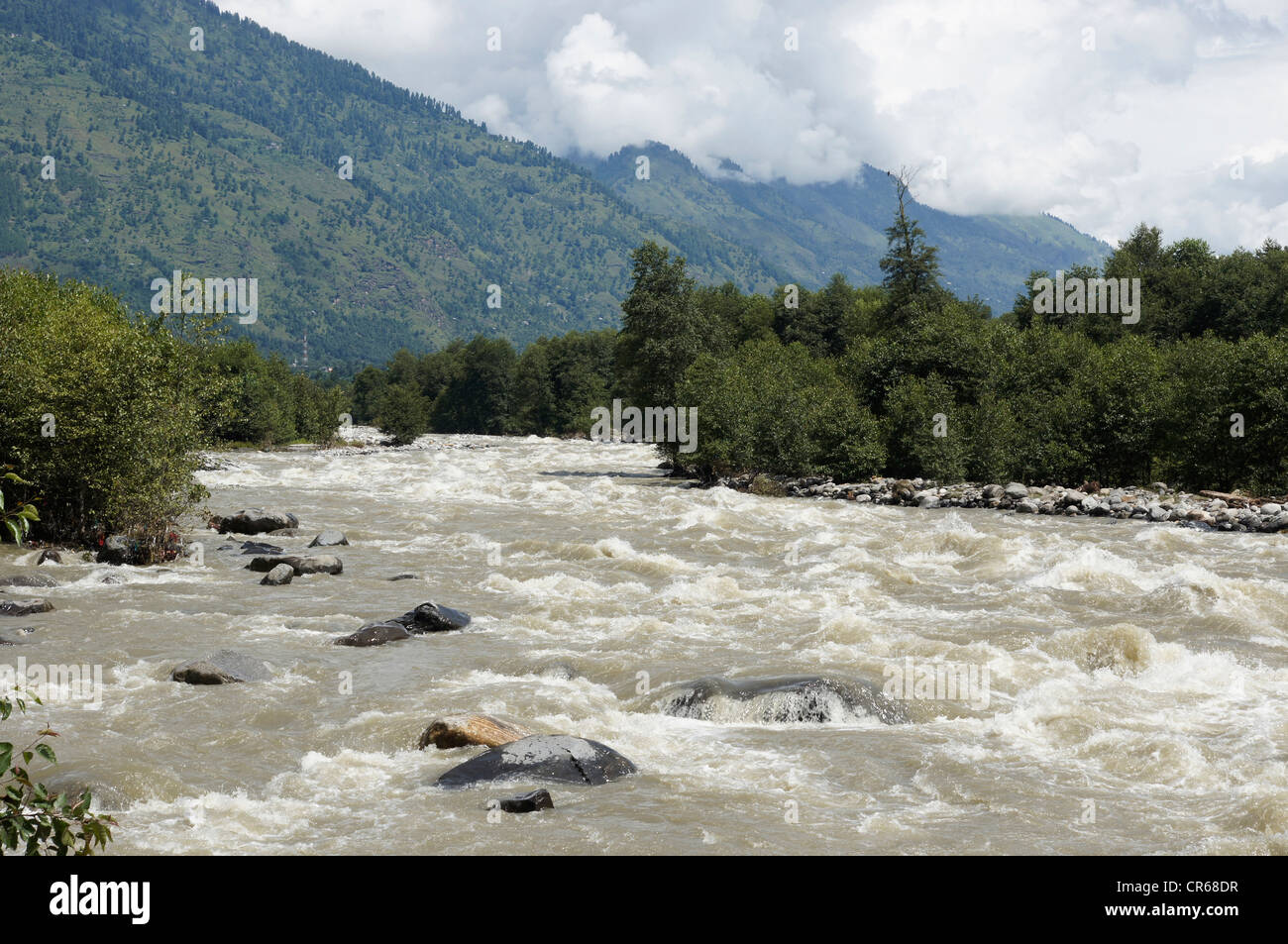 river beas after heavy rainfalls, between kullu and manali, himachal ...
