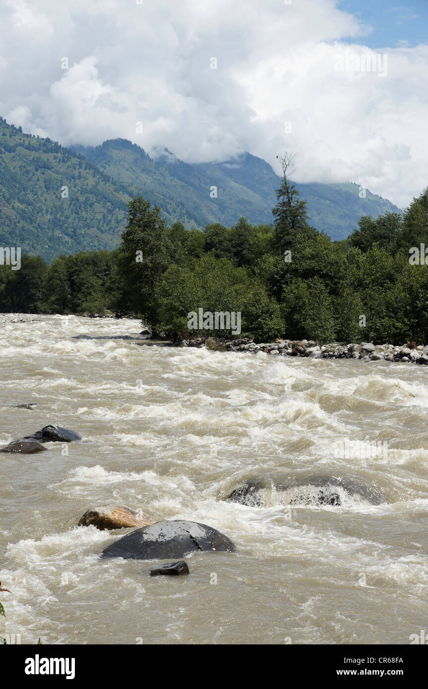 river beas after heavy rainfalls, between kullu and manali, himachal ...