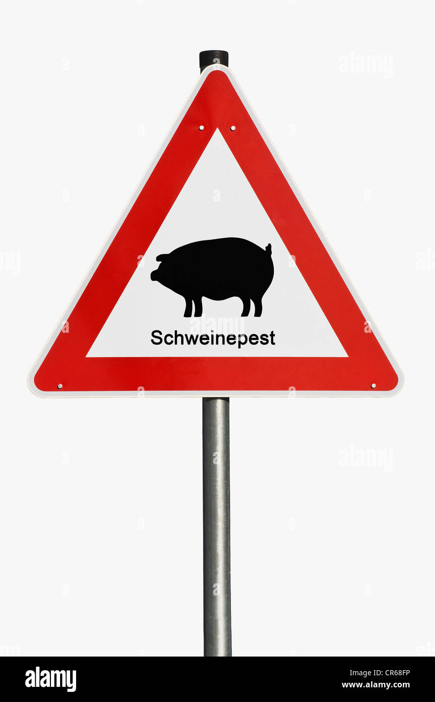 Danger sign with a pictogram of a pig, lettering "Schweinepest", German ...