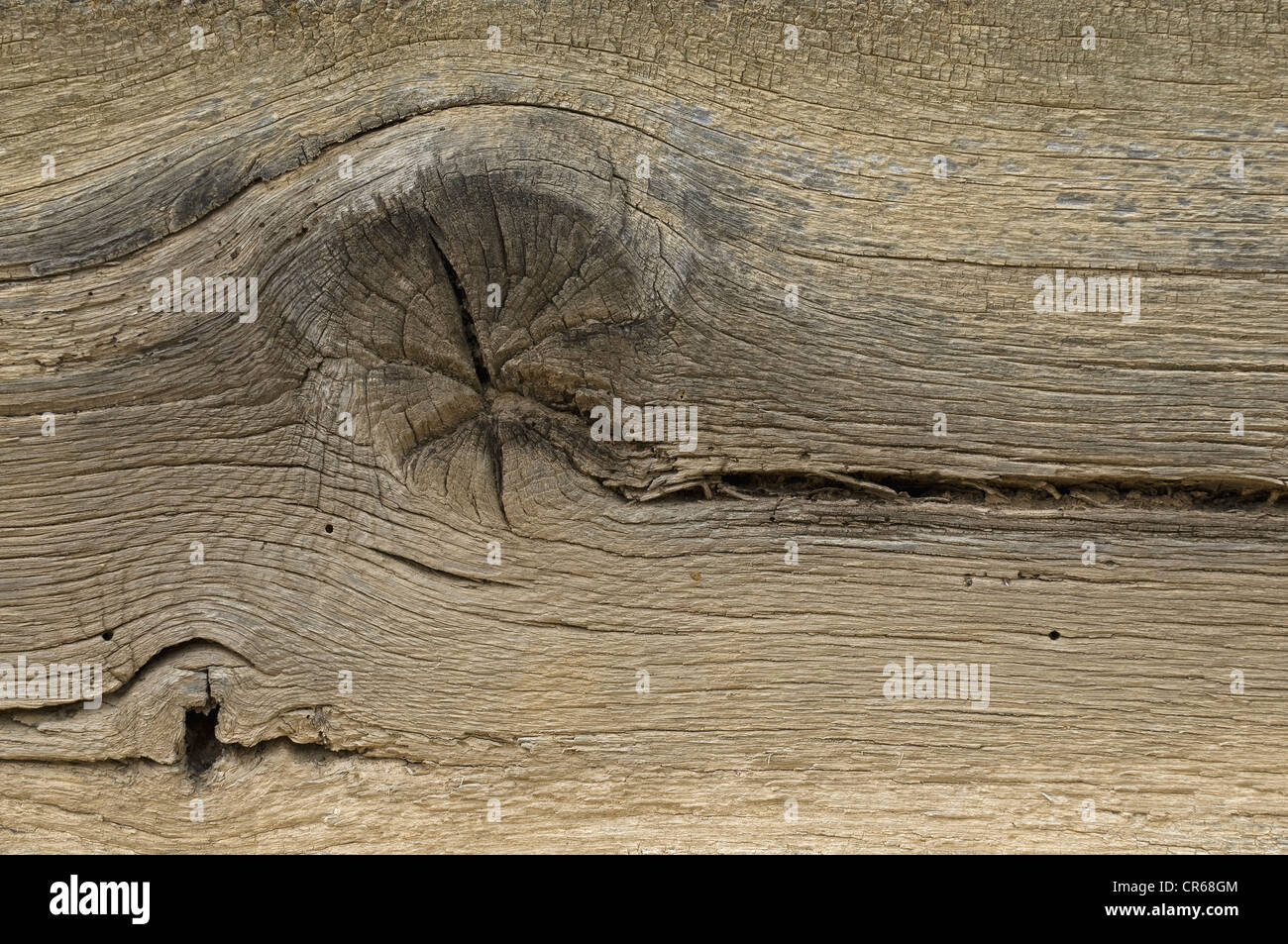 Wooden board, detailed view of a knothole with cracks Stock Photo - Alamy