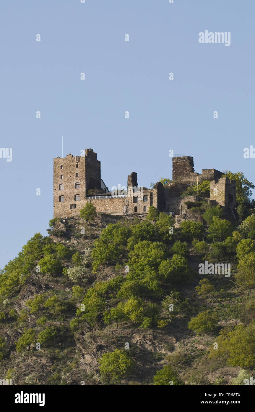 Liebenstein castle, Levenstein, Wohnturm tower with a shield wall and ...