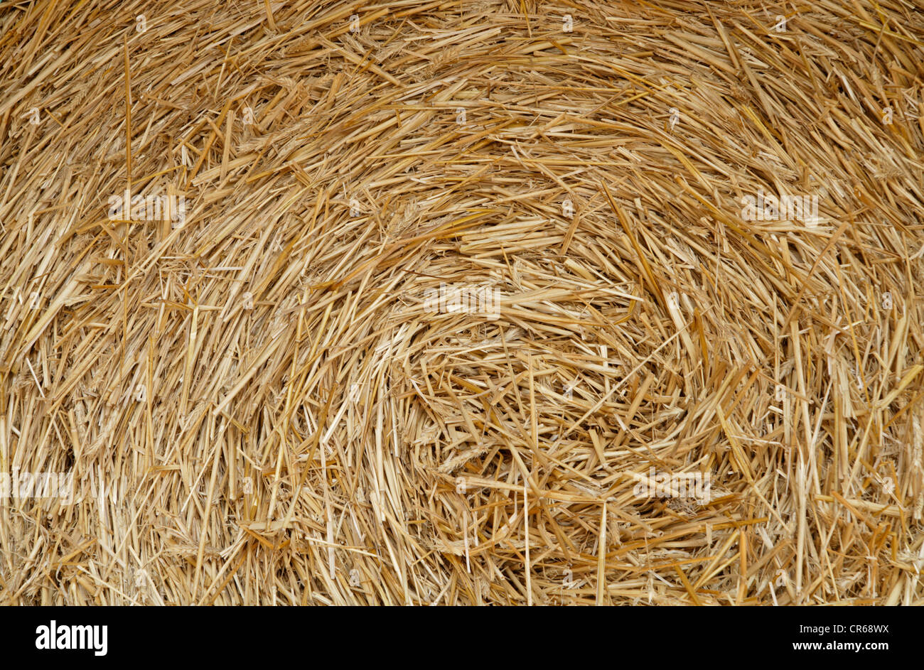Europe, Germany, Bavaria, Bale of straw, close up Stock Photo - Alamy