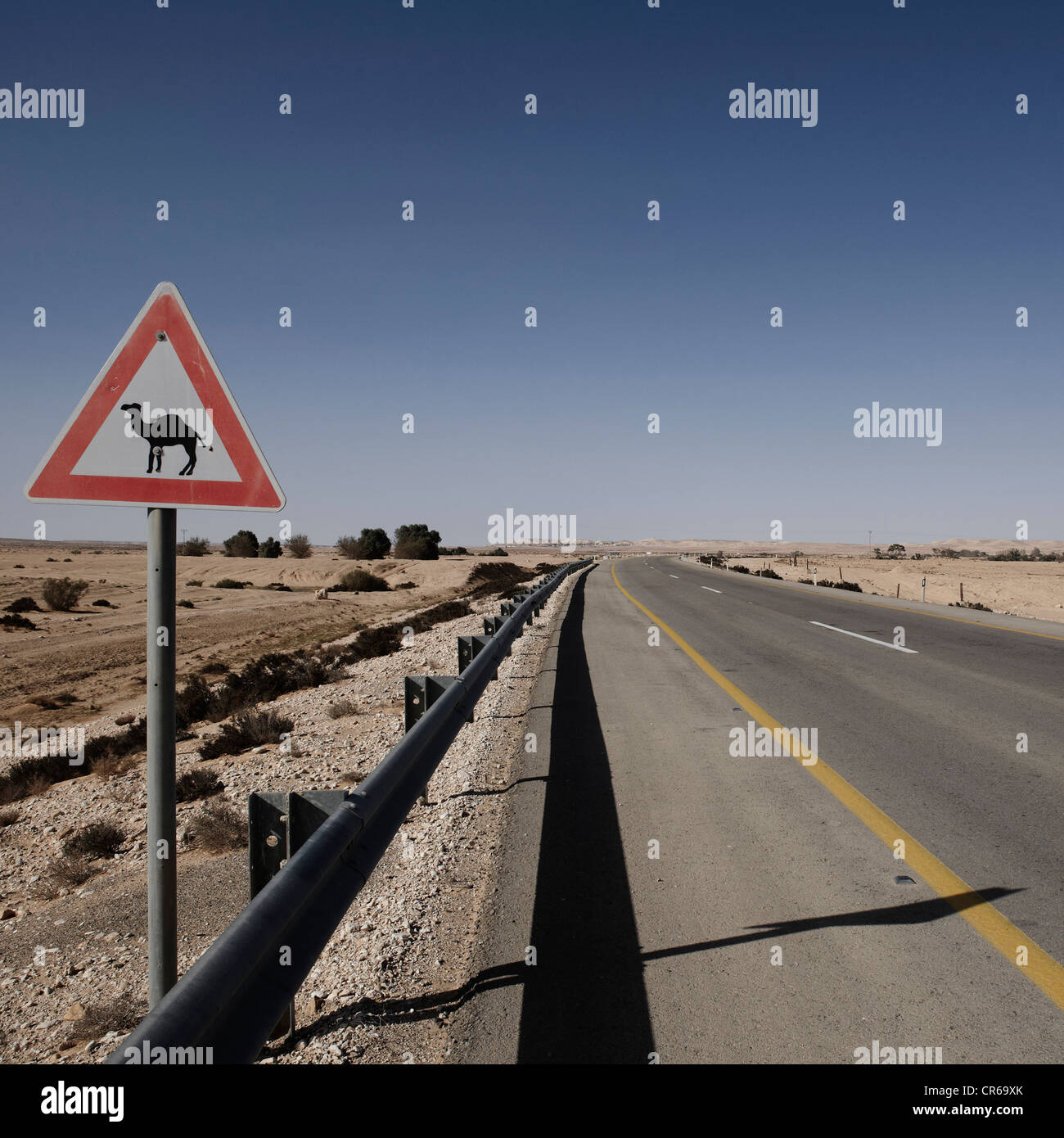 Camel crossing sign hi-res stock photography and images - Alamy