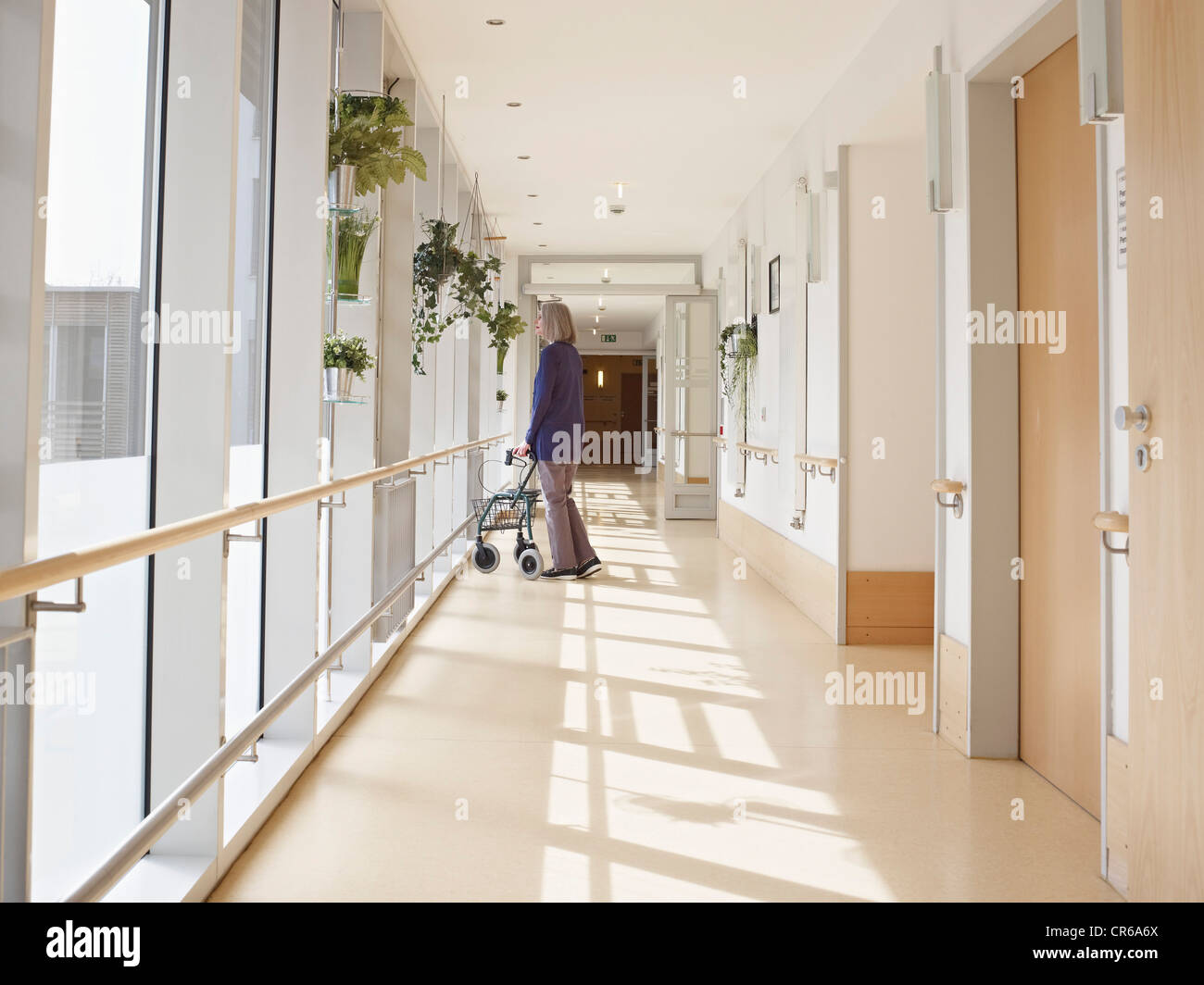 Germany, Cologne, Senior woman with walking frame at corridor in ... Germany, Cologne, Senior woman with walking frame at corridor in ...