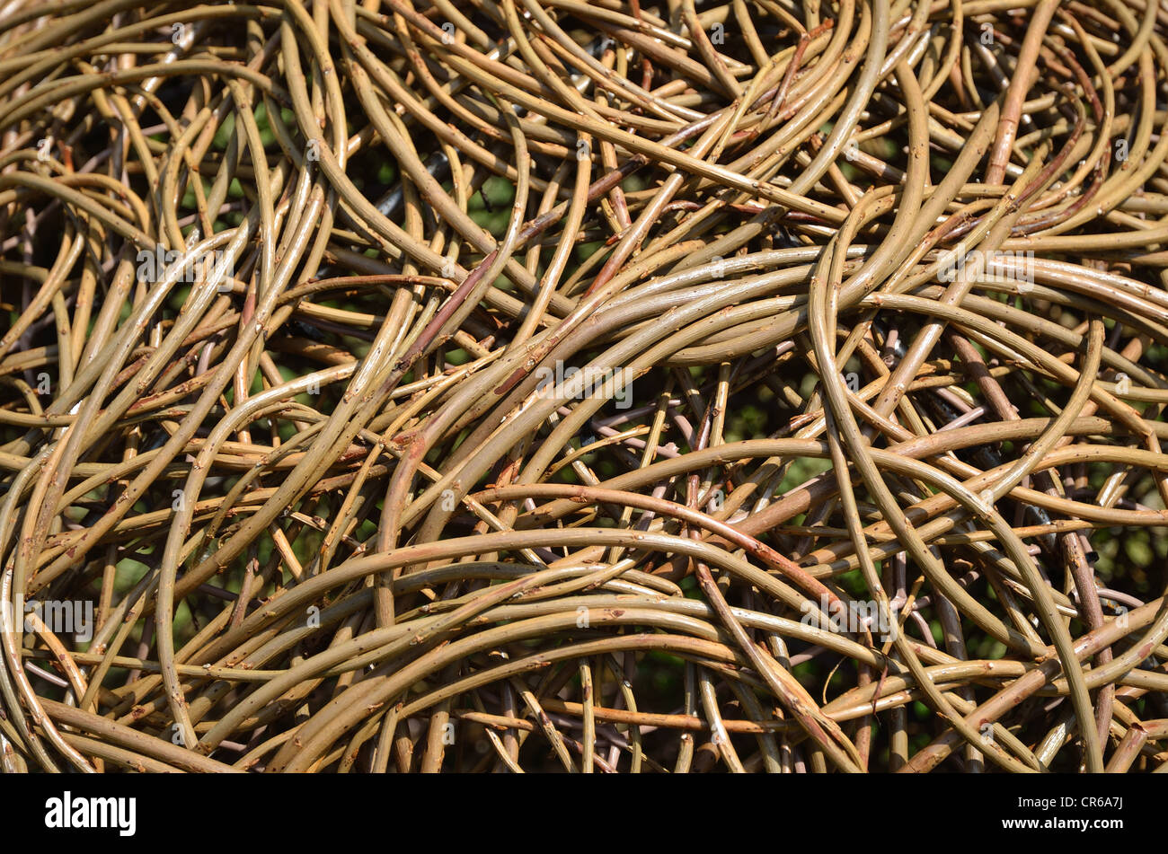 Rod of wicker hi-res stock photography and images - Alamy