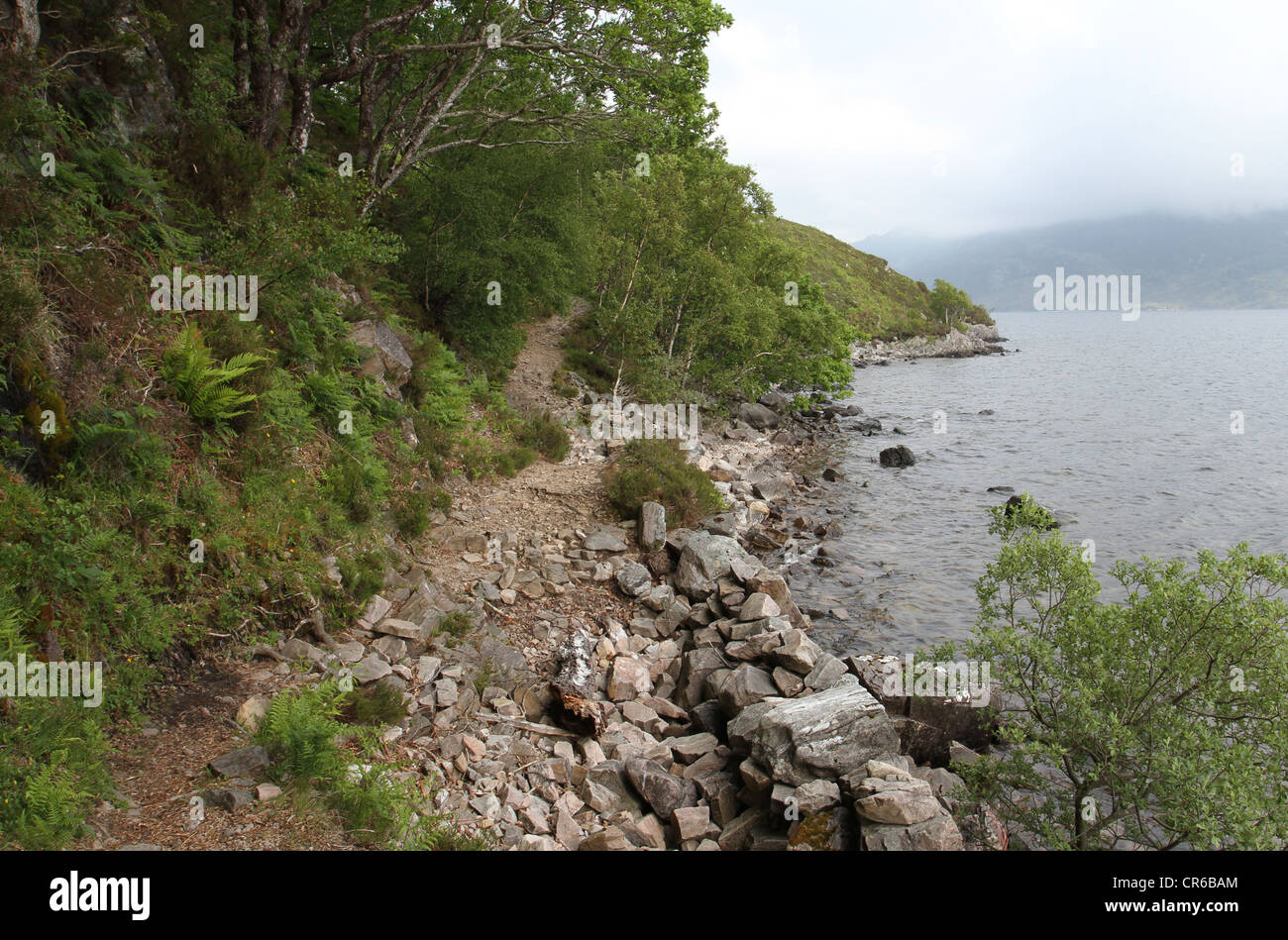 footpath by Loch Morar Scotland May 2012 Stock Photo - Alamy