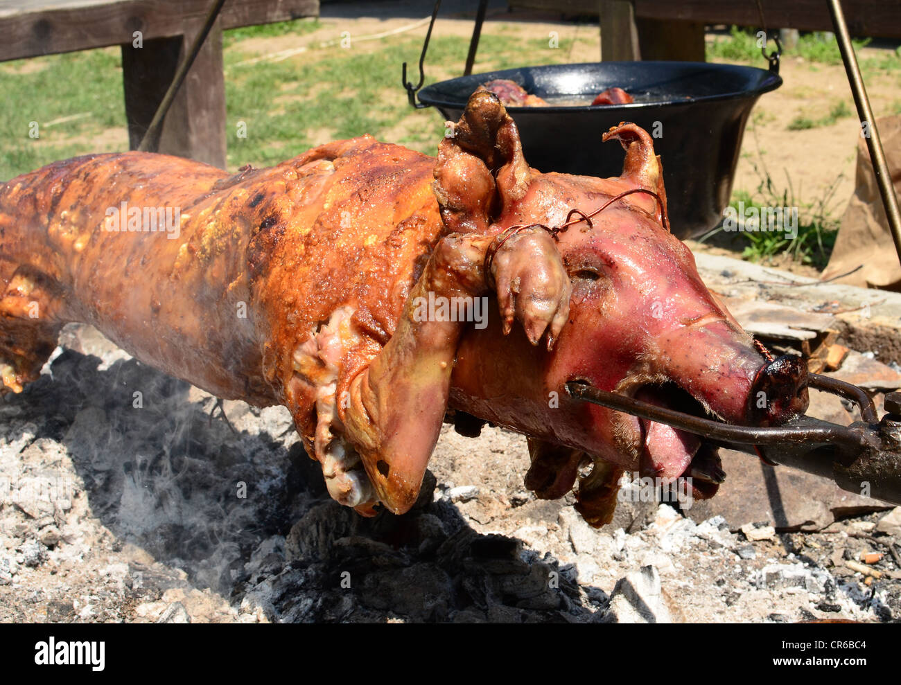 Pig roasted on a fire Stock Photo - Alamy