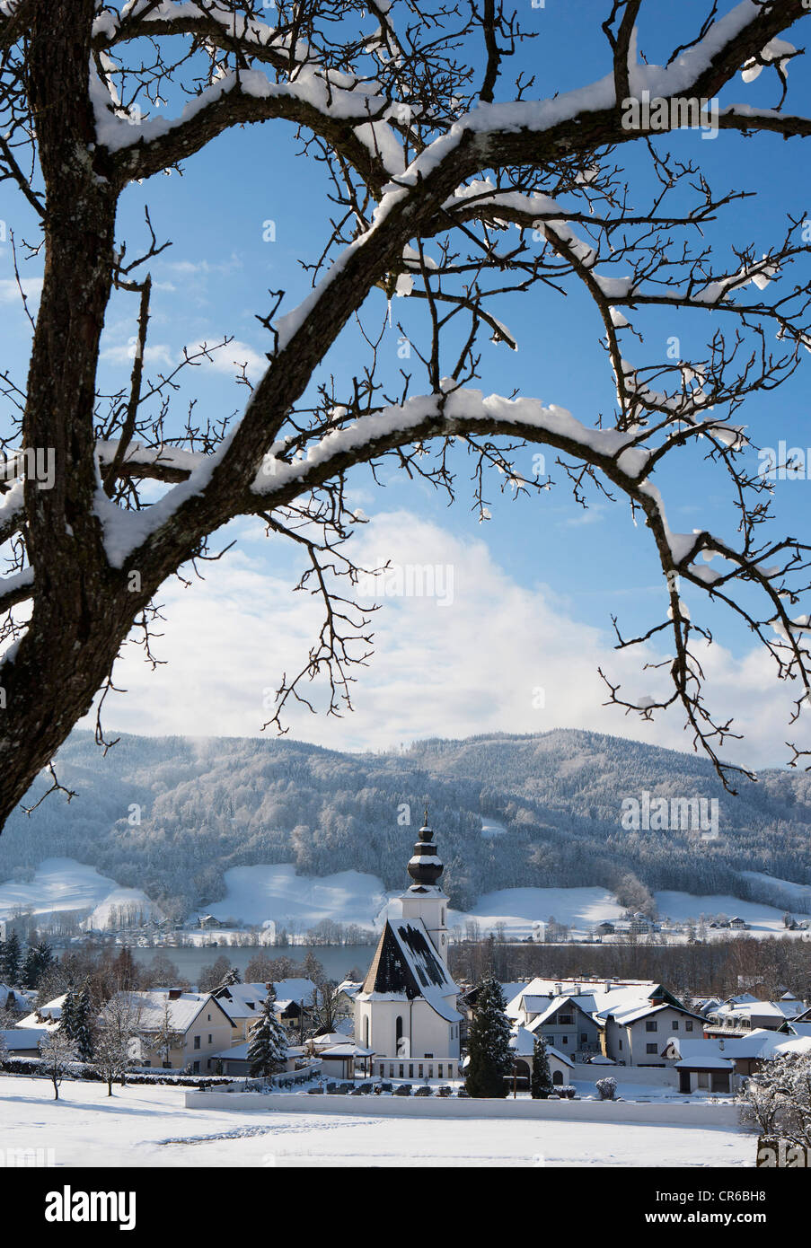 Austria, View of Zell am Moos with Irrsee Lake in background Stock ...