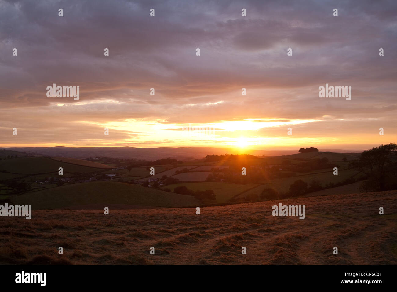 South devon landscape near totnes devon hi-res stock photography and ...