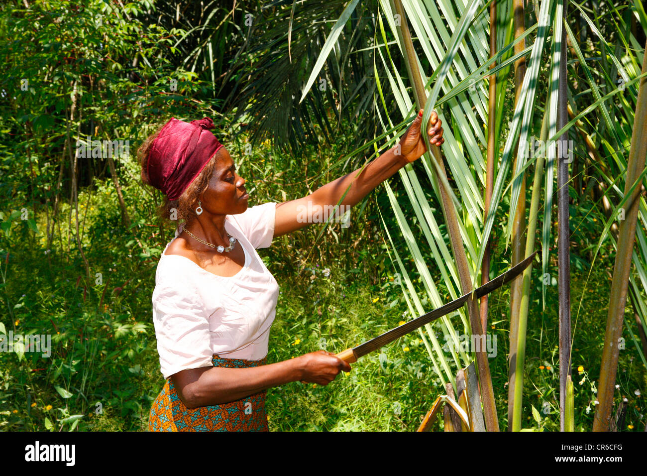 Woman with machete, gathering of natural fibers for the manufacture of ...