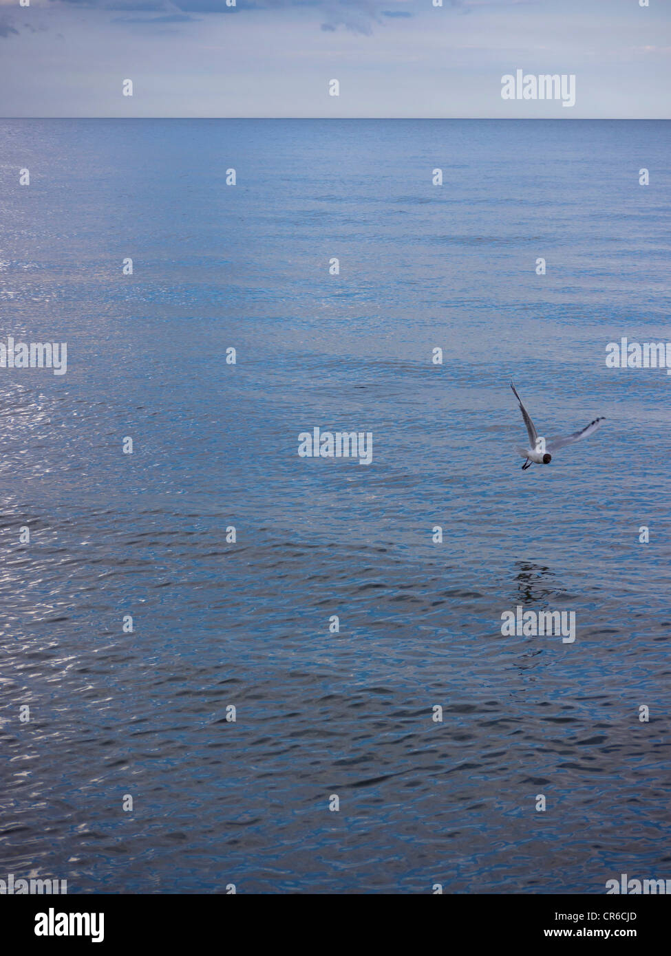 Flying over the horizon hi-res stock photography and images - Alamy