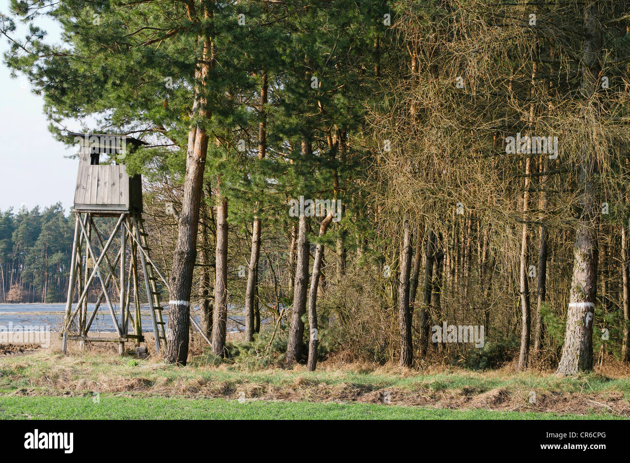 Germany, Bavaria, raised hide in forest Stock Photo - Alamy Germany, Bavaria, raised hide in forest Stock Photo - Alamy
