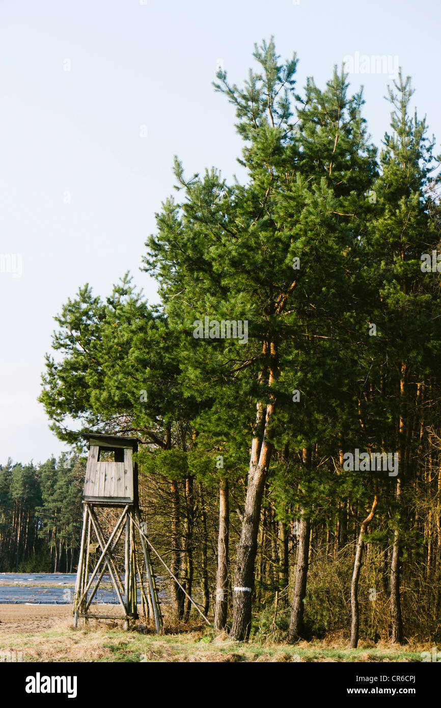 Germany, Bavaria, raised hide in forest Stock Photo - Alamy Germany, Bavaria, raised hide in forest Stock Photo - Alamy
