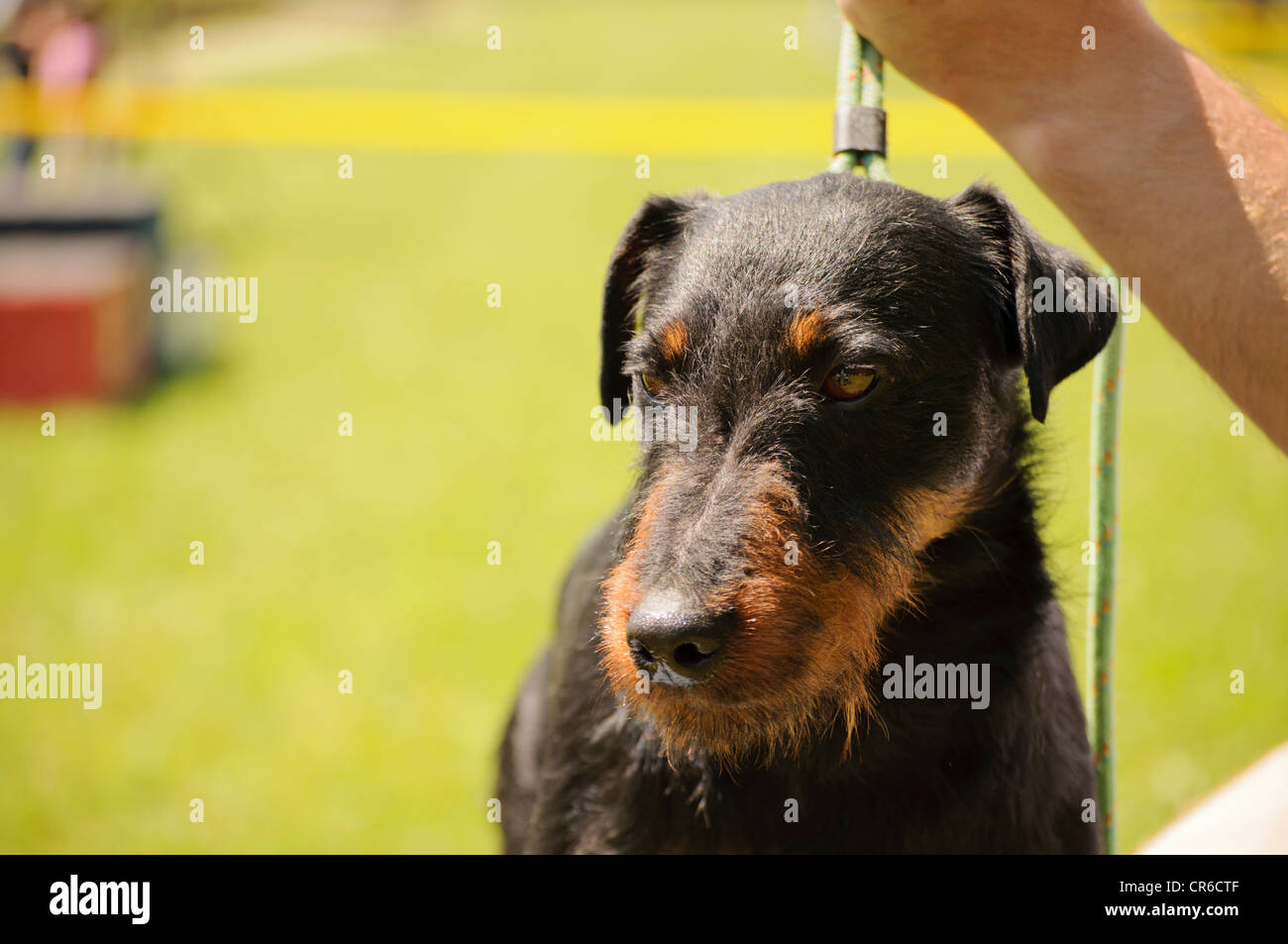 German horizontal hi-res stock photography and images - Alamy
