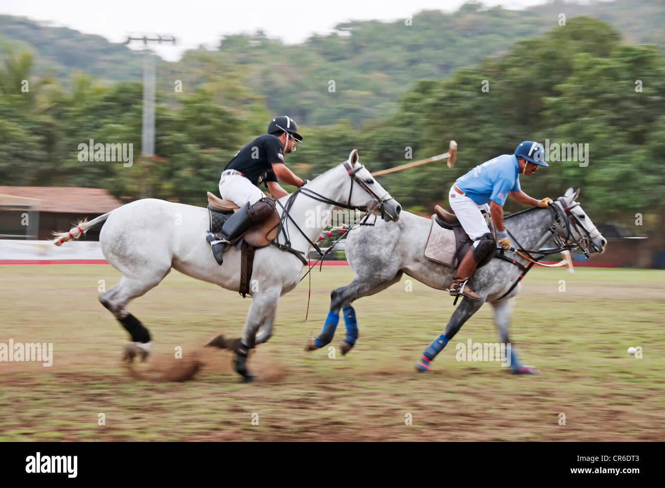 Two riders compete at full speed on their polo ponies during a match at ...