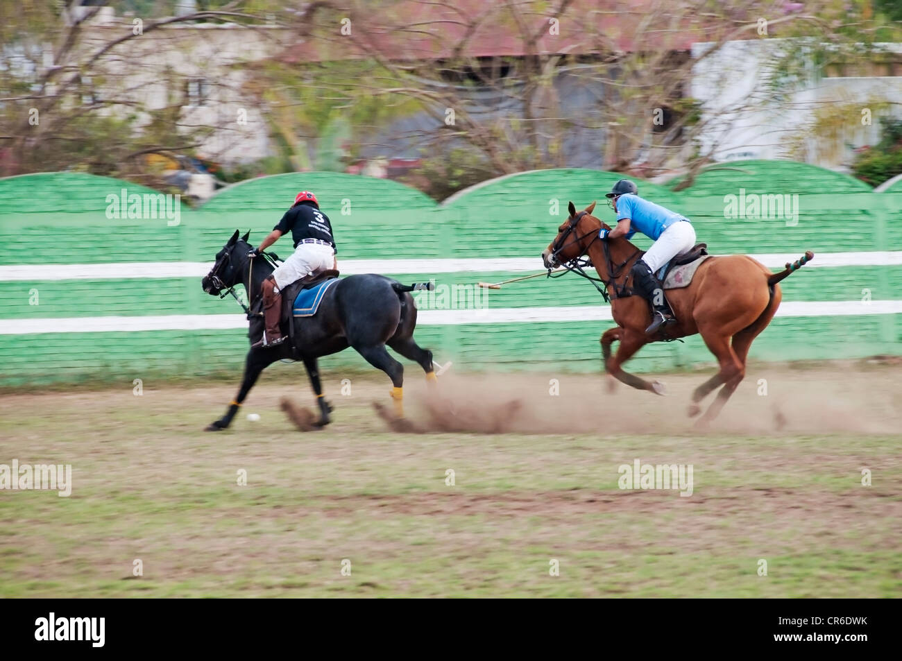 Two riders compete at full speed on their polo ponies during a match at ...