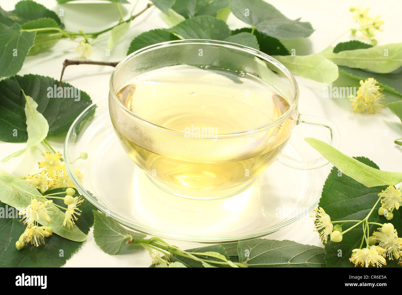 fresh lime blossom tea with linden flowers and leaves Stock Photo - Alamy
