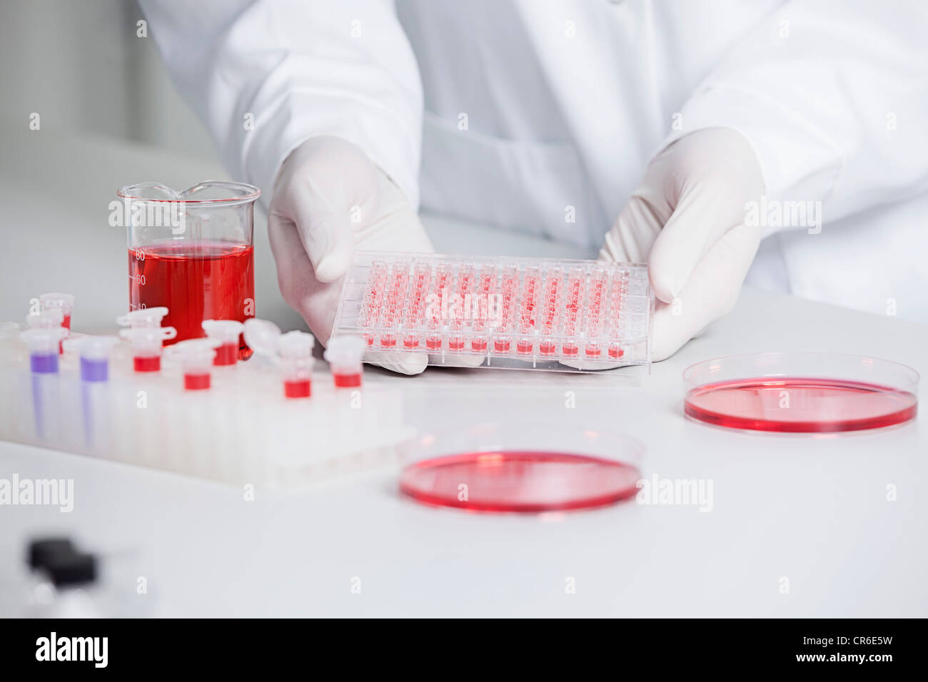 Germany, Bavaria, Munich, Scientist holding red liquid in test tray for ...