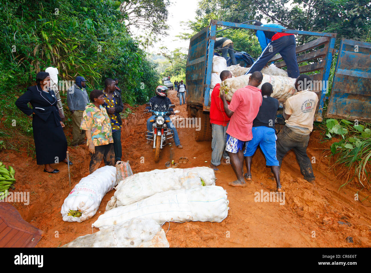 Truck stuck in mud hi-res stock photography and images - Alamy