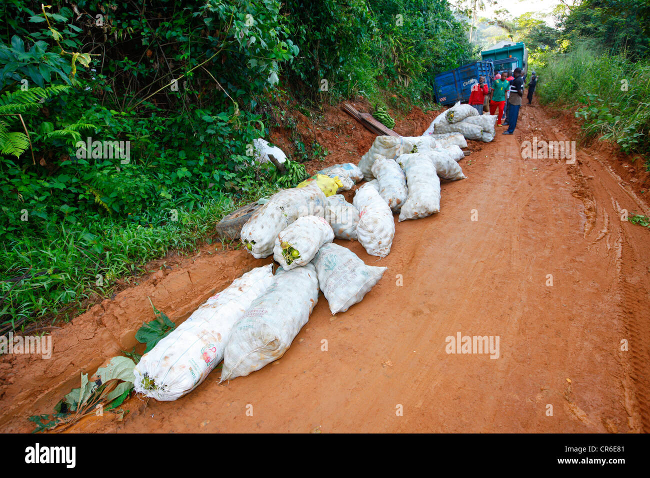 Truck stuck in mud hi-res stock photography and images - Alamy