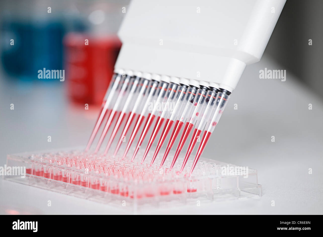 Germany, Bavaria, Munich, Multichannel pipette dispensing red reagent ...