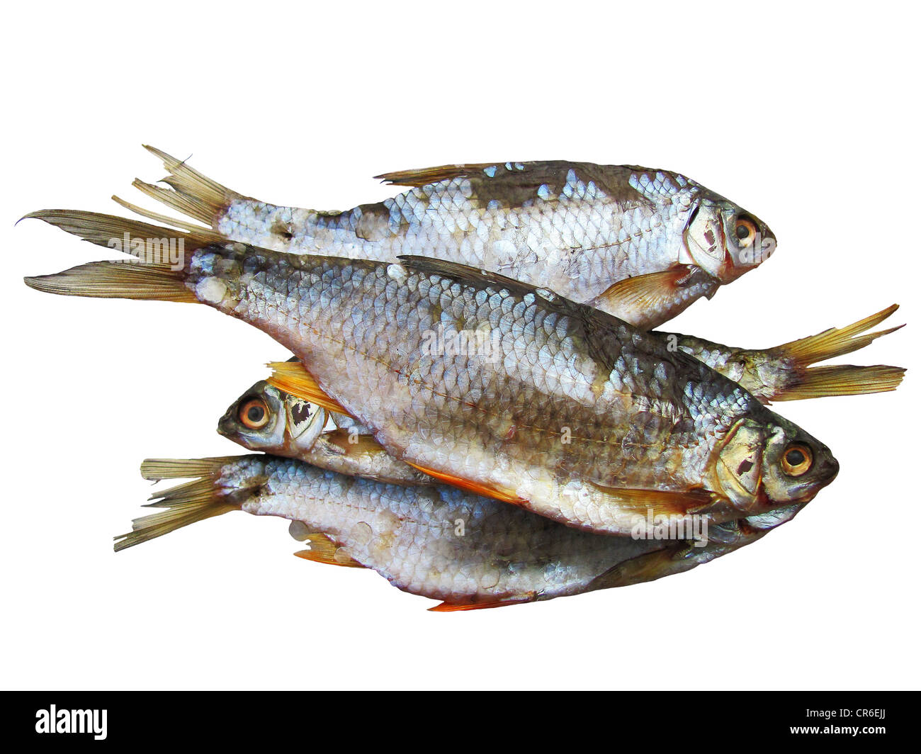 Fish product Cut Out Stock Images & Pictures - Alamy