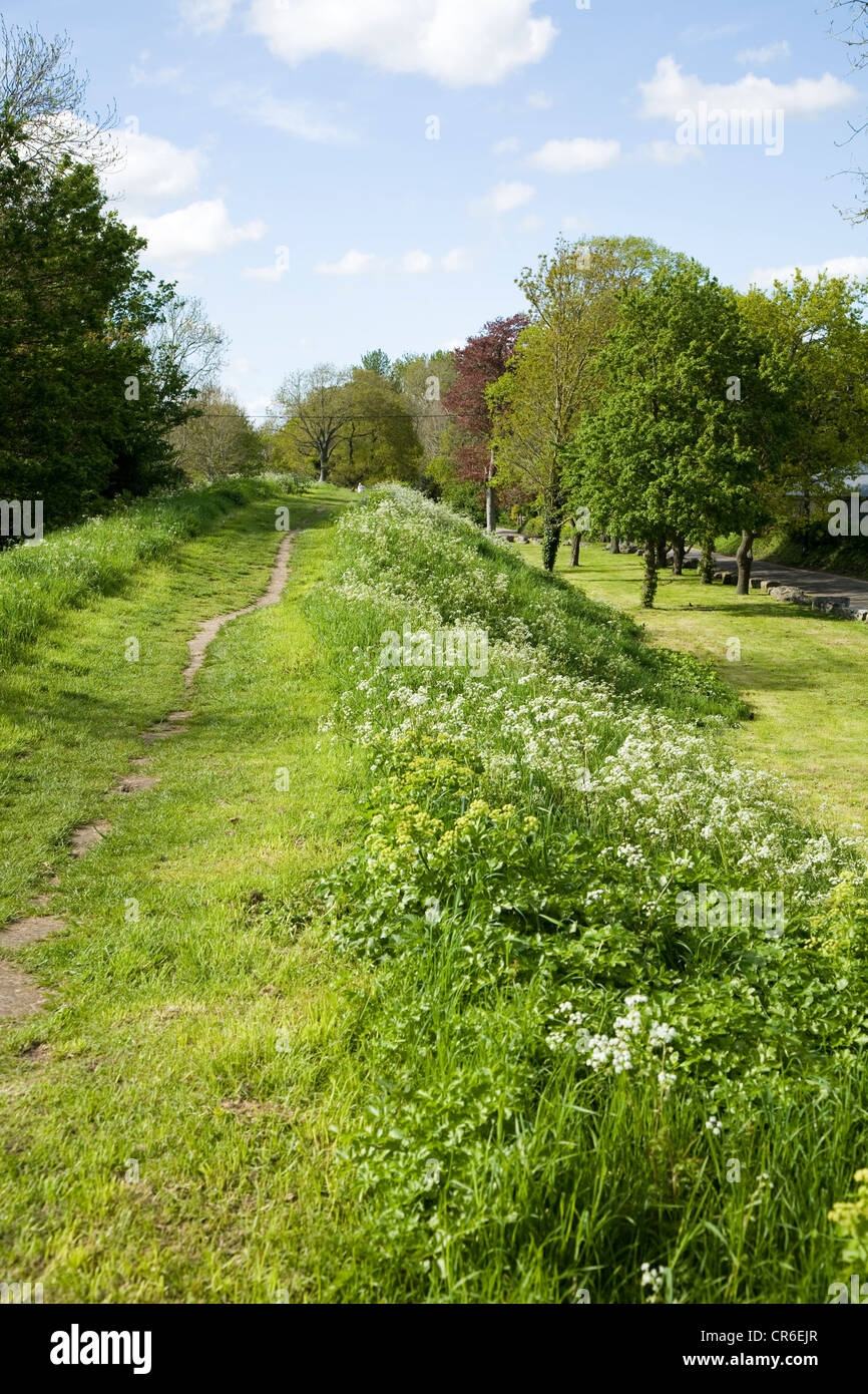 Ancient Saxon old town walls – burh – on the East side of Wareham in ...
