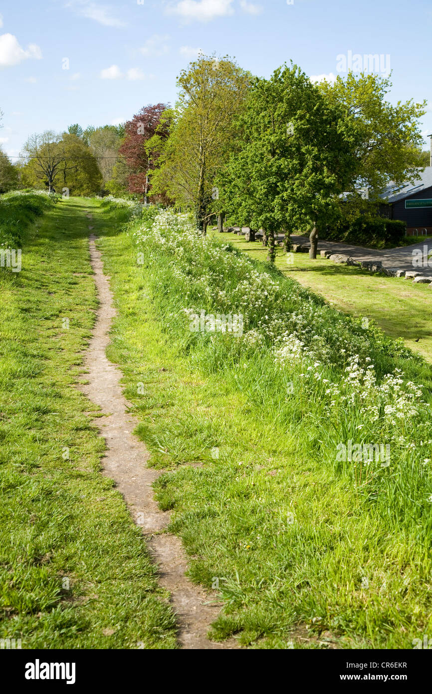 Alfred great wall wareham hi-res stock photography and images - Alamy