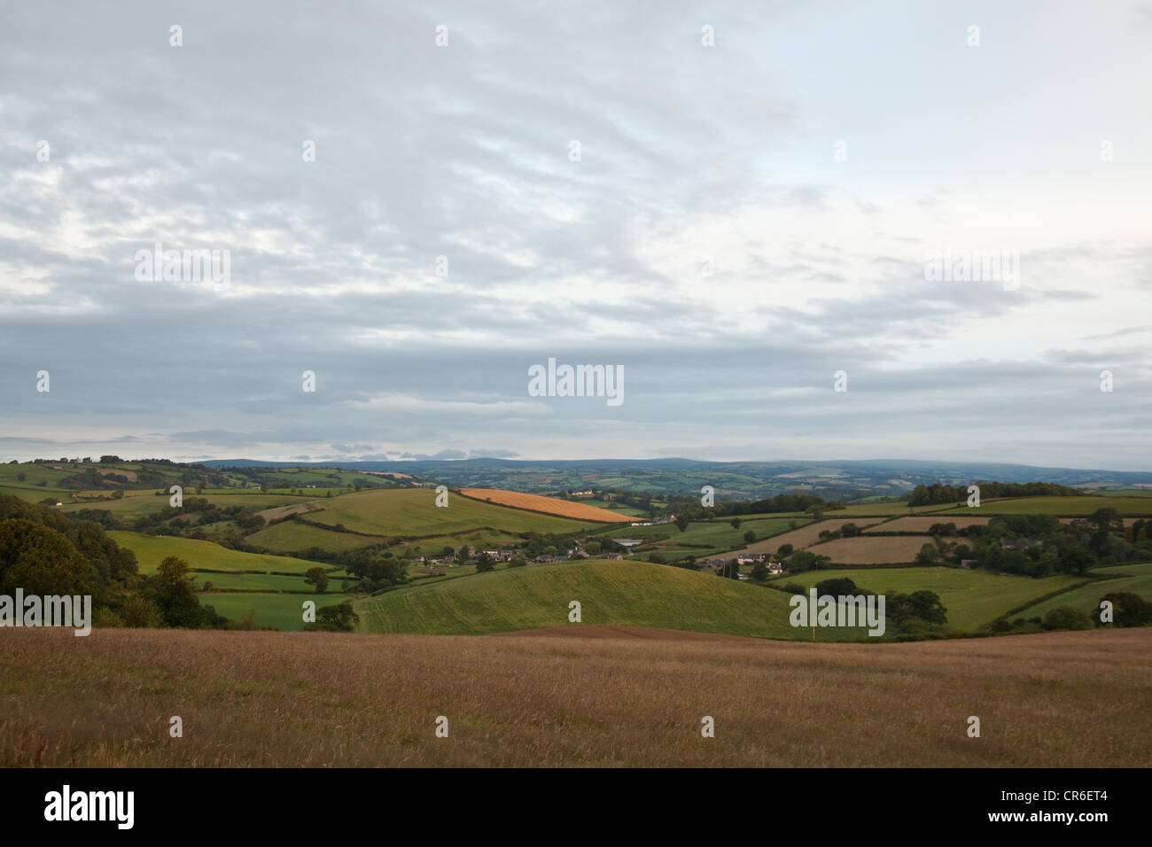 South devon landscape near totnes devon hi-res stock photography and ...