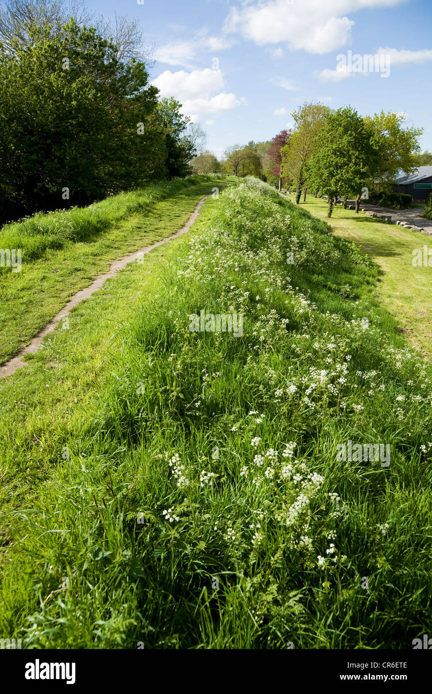 Ancient Saxon old town walls – burh – on the East side of Wareham in ...