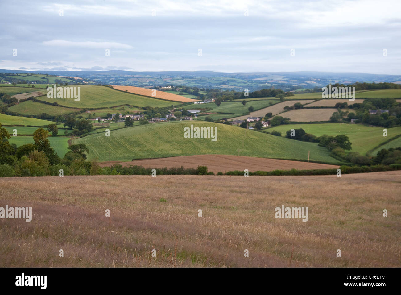 South Devon landscape near Totnes Devon, England United Kingdom Stock ...
