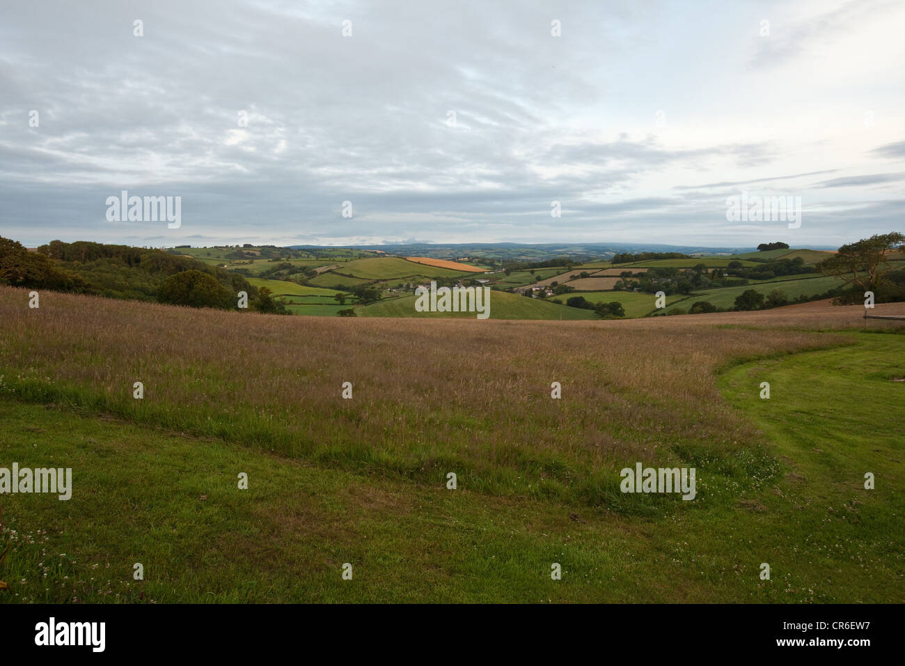 South Devon landscape near Totnes Devon, England United Kingdom Stock ...