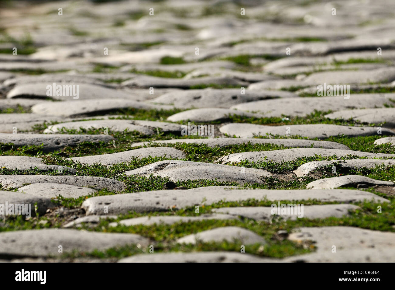 Ancient paving stones on the Appian Way, Via Appia Antica, Rome, Lazio ...