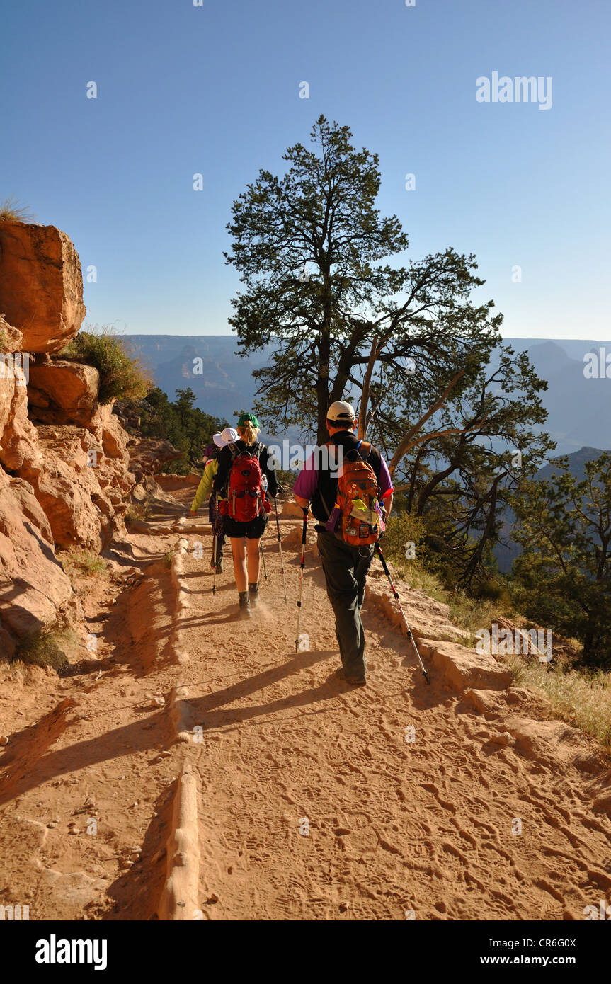 Bright Angel trail, Grand Canyon, Arizona, USA Stock Photo - Alamy