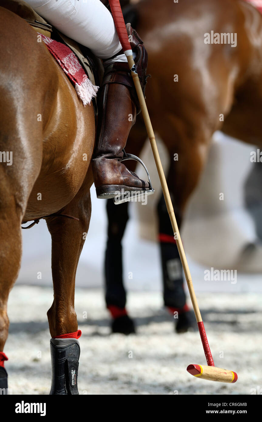 Polo player with mallet sitting on a horse, Airport Arena Polo Event ...