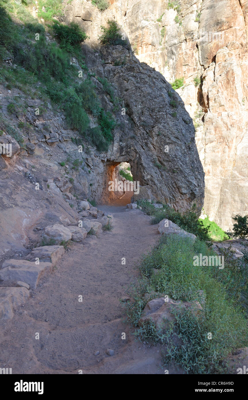 Bright Angel trail, Grand Canyon, Arizona, USA Stock Photo - Alamy