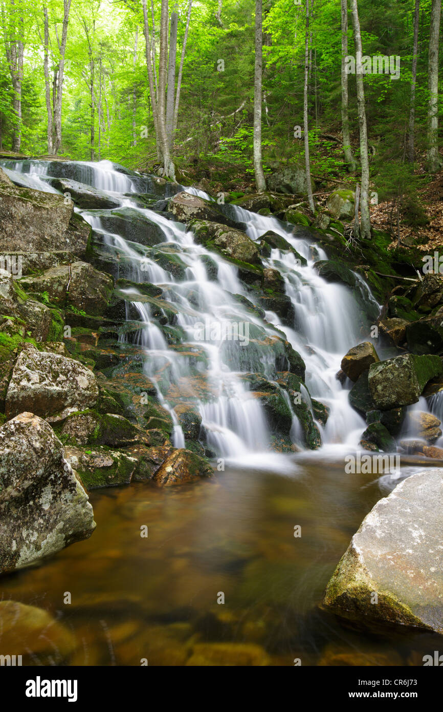 North cacades hi-res stock photography and images - Alamy