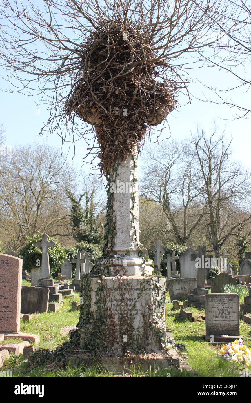 An old grave covered with ivy creating a tree. West Norwood Cemetery ...