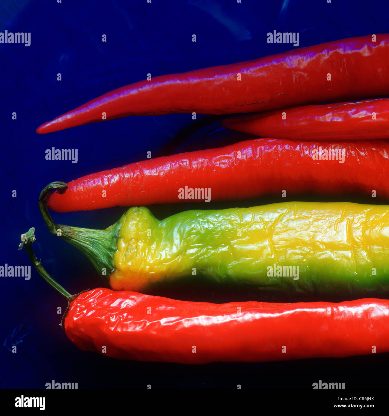 Red and green peppers on a dark blue background Stock Photo - Alamy