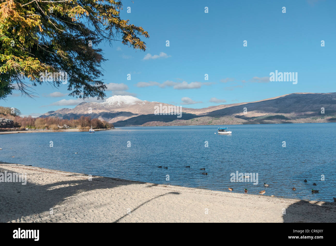 Boats & ducks on Loch Lomond at Luss with snow covered Ben Lomond in ...