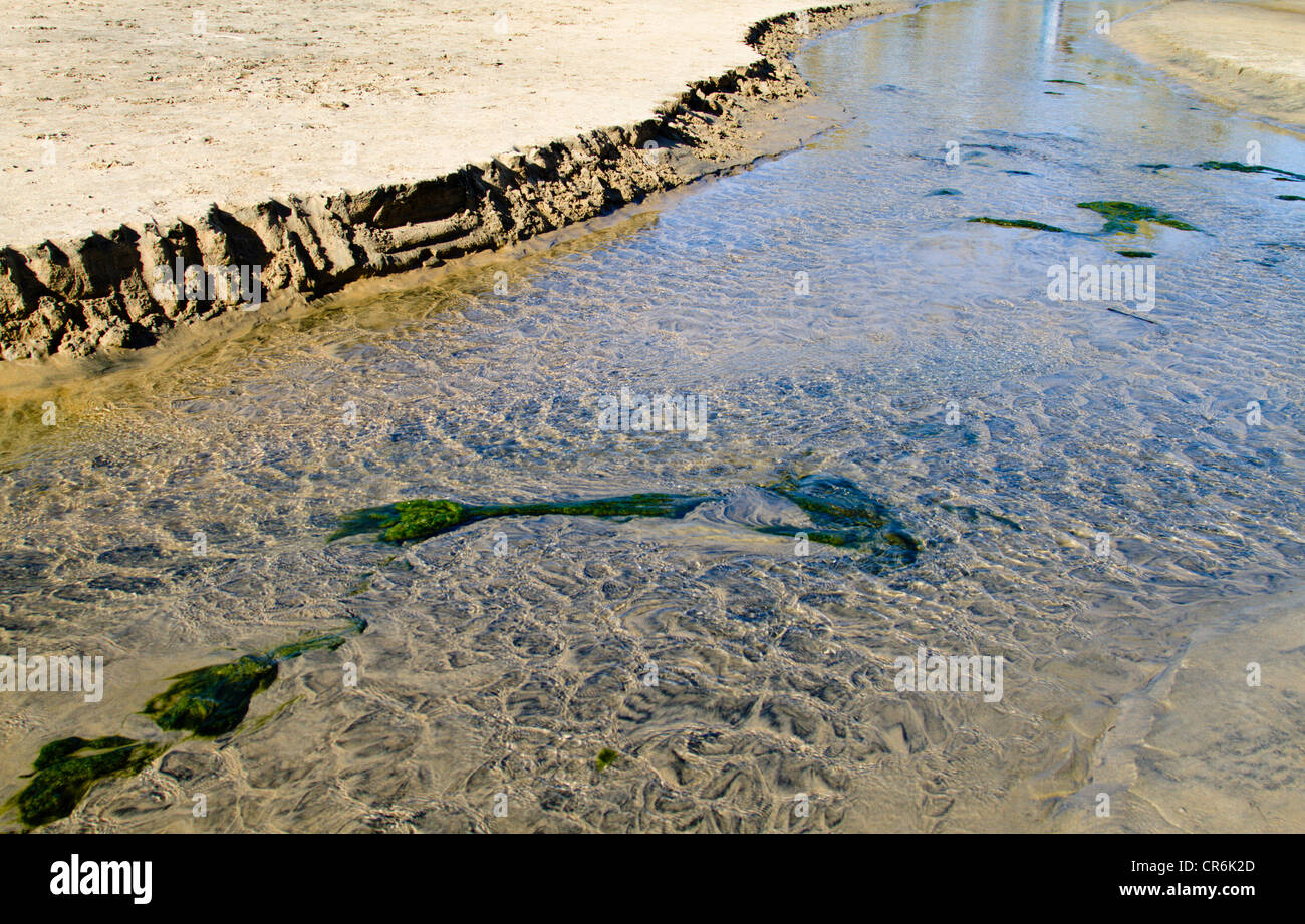 Ripple patterns in sand in shallow creek bed in Baja Mexico near "Todos ...