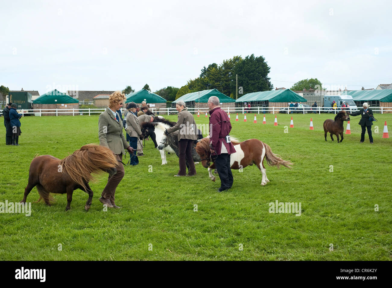 Show horses hi-res stock photography and images - Alamy