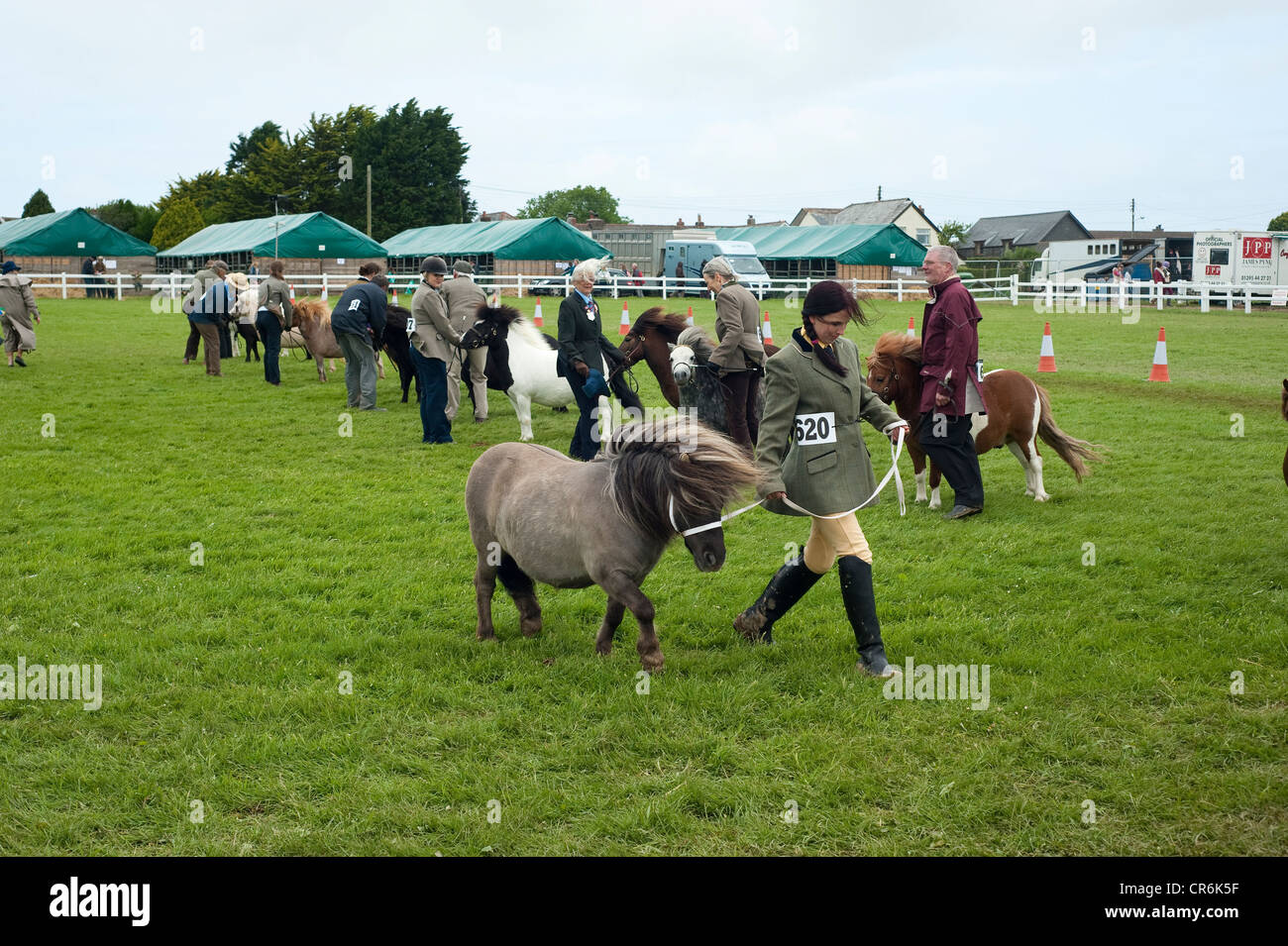 Show horses hi-res stock photography and images - Alamy